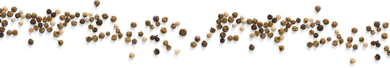 Indian Cuisine Restaurant in NJ | Catering Services - Andaaz