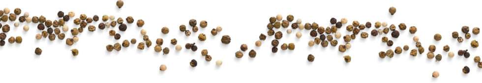 Indian Cuisine Restaurant in NJ | Catering Services - Andaaz